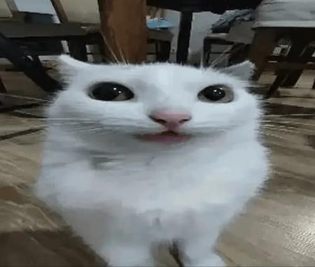 美图乐乐截图