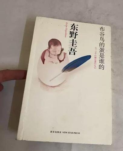 布谷布谷的小说图标