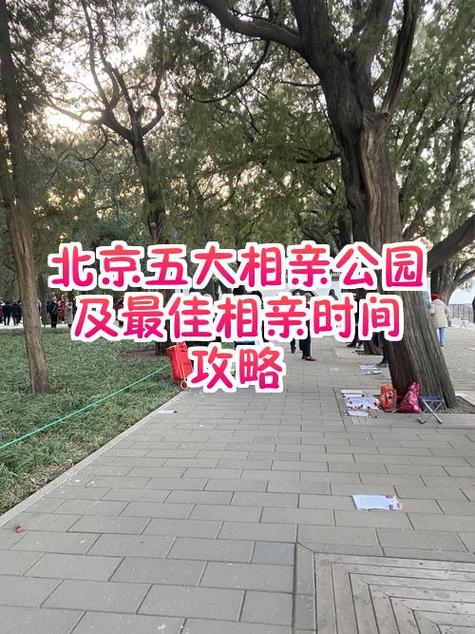 七星石传媒图标