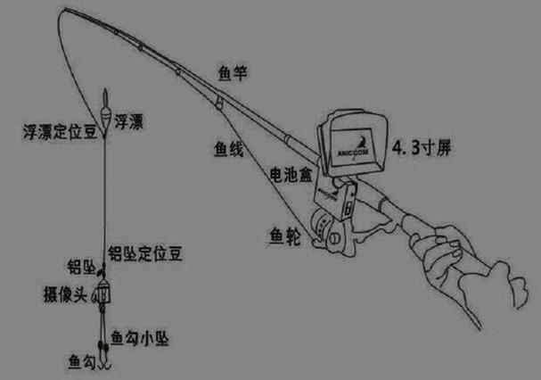 锚鱼十句顺口溜图标
