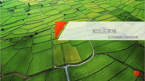 云农场项目简介图标