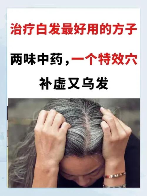秃发照片图标