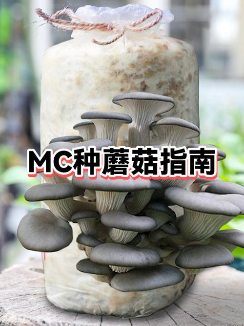mc蘑菇怎么繁殖图标