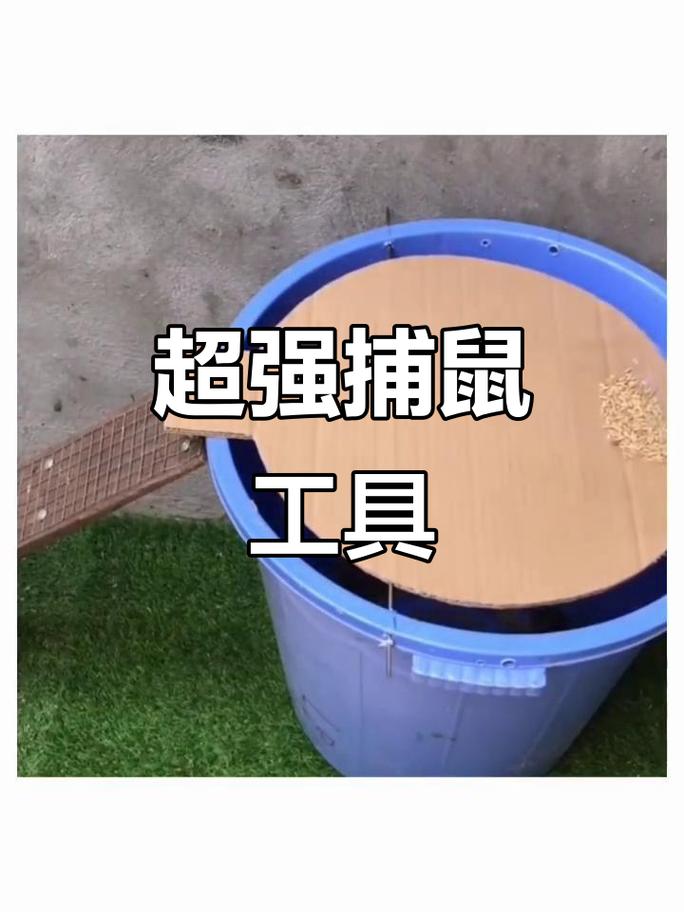最先进的捕鼠器图标
