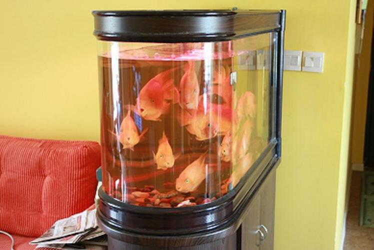水族箱安装视频截图