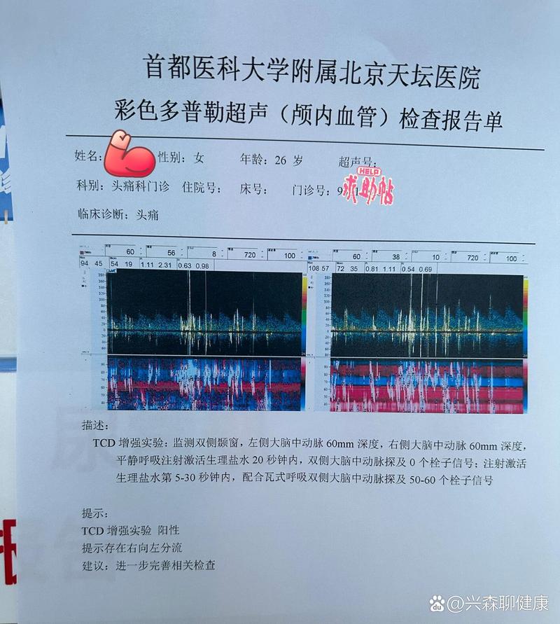 中医TCD编码查询图标