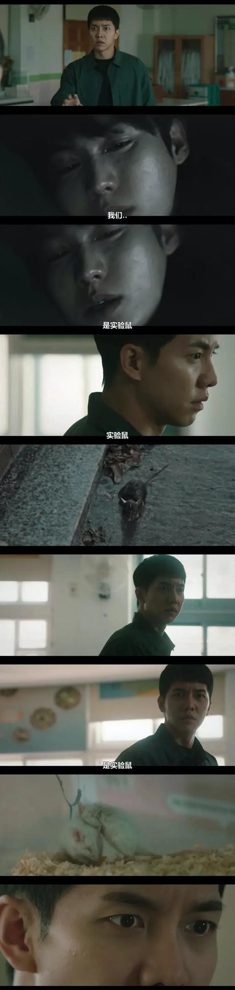窥探百科图标