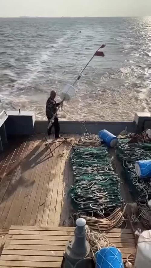 真正的捕鱼赚钱图标