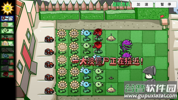 植物大战僵宅宅萝卜最新版截图