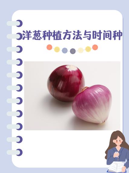 洋葱免费阅读更新时间图标