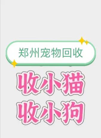 上门回收宠物图标