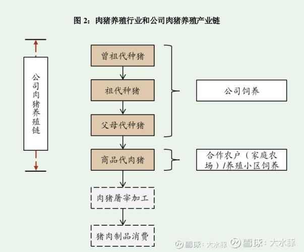 公司农户养猪合作模式图标
