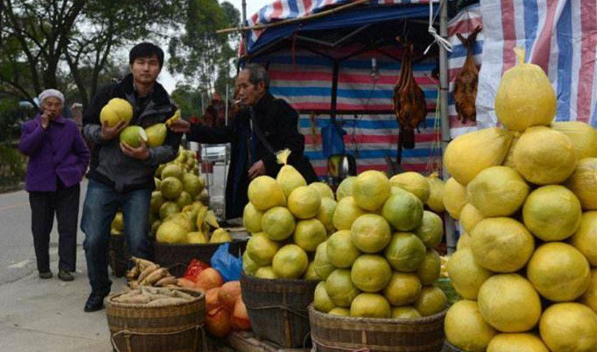 柚子卖不出去怎么办图标