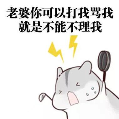 我直接叫老婆表情包图标