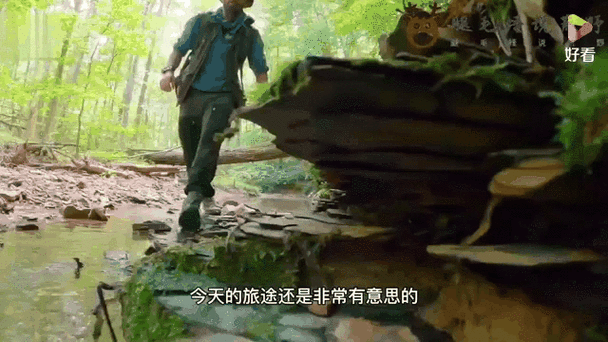 荒野行动好玩吗 荒野行动怎么样图标