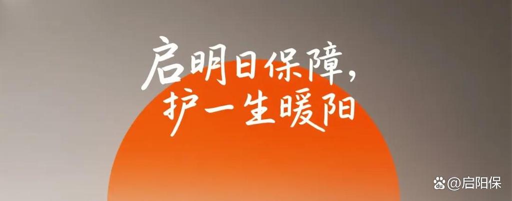 启阳保网络图标
