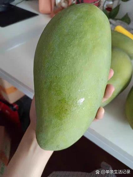 青芒兼职是真的吗图标