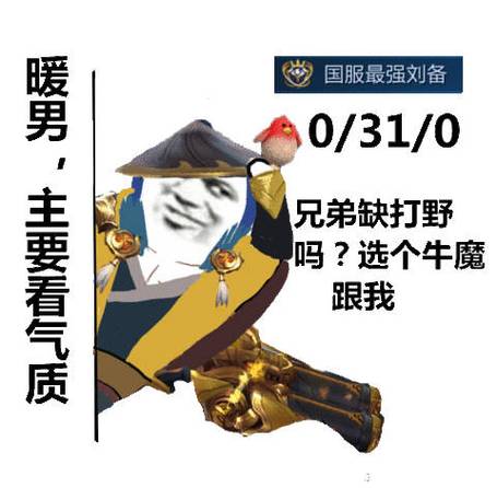 最强王者有什么用表情包截图