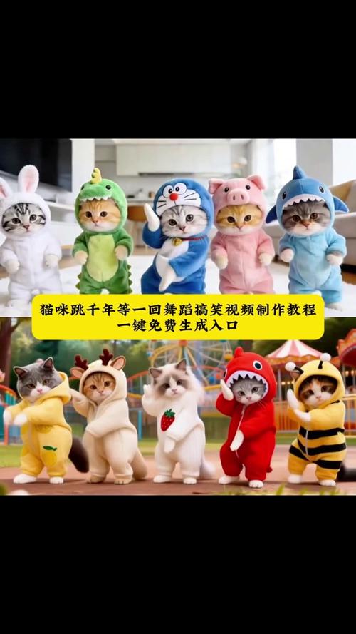 猫咪跳舞视频怎么制作图标
