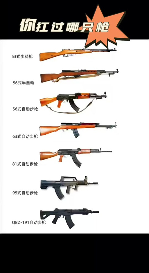 53式步骑枪的优缺点图标