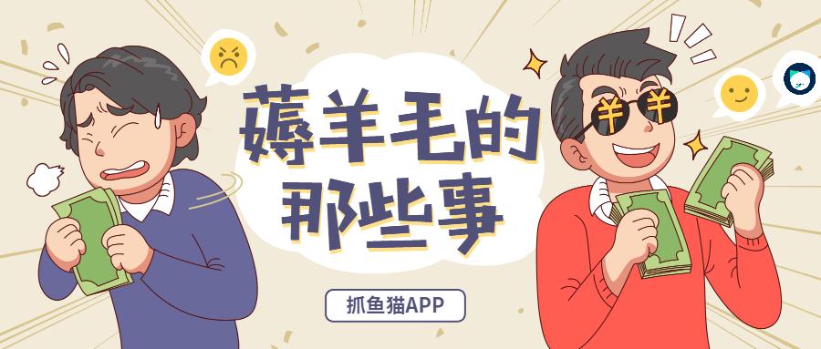 羊毛帝app新版图标