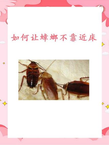 如何防止蟑螂爬到床上图标