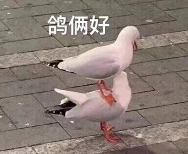 哥俩好下一句