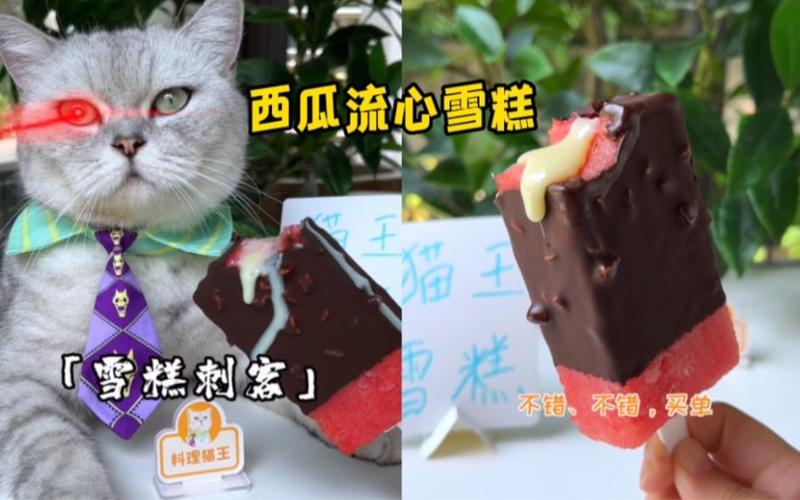 猫王做巧克力西瓜雪糕截图
