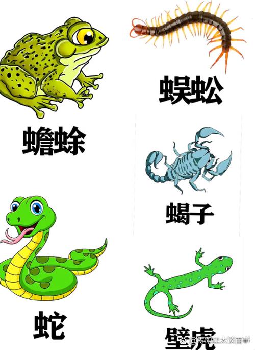 小蛇斗蜈蚣五毒破解版图标