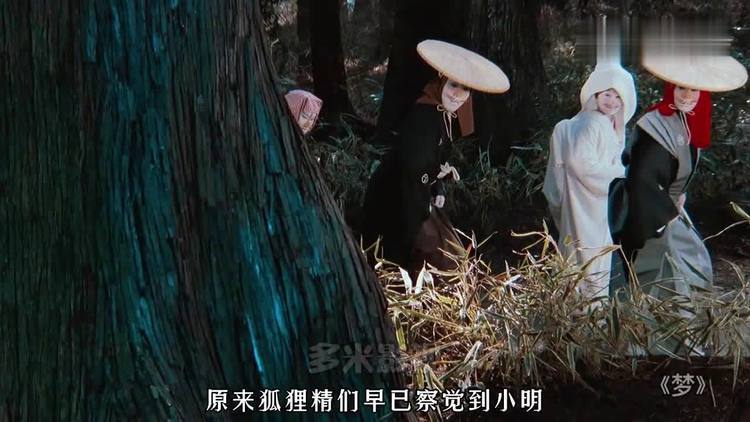 狐狸娶亲视频图标