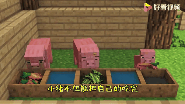 美食家小猪的大冒险怎么获得食材