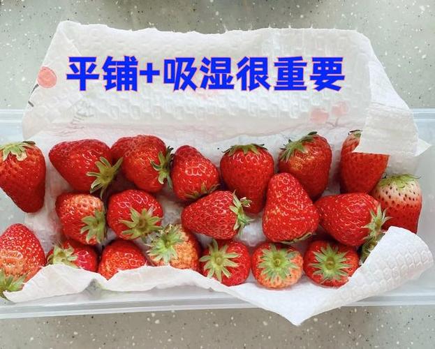 新鲜草莓可以放冰箱保鲜吗图标