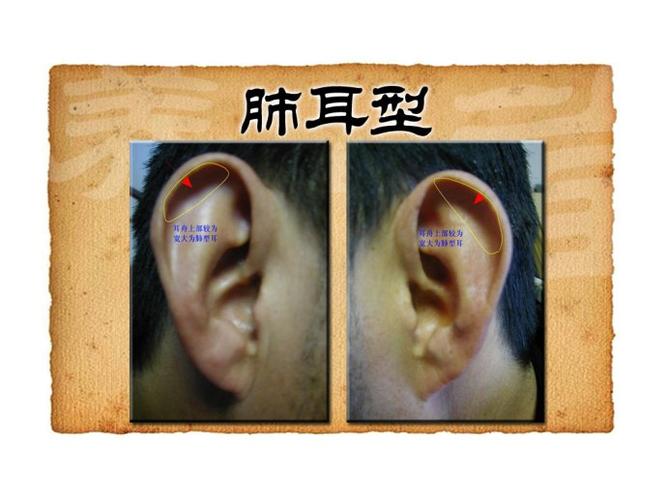 侧耳拼音