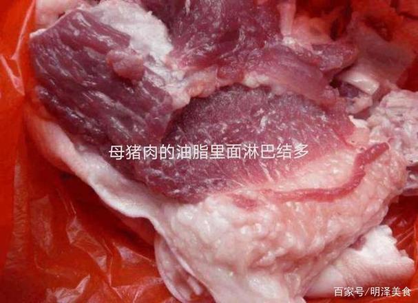 老母猪五花肉怎么辨别图标