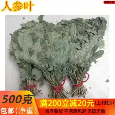 叶绿图标