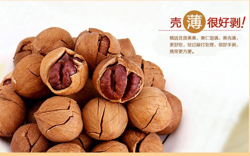 山果果山核桃