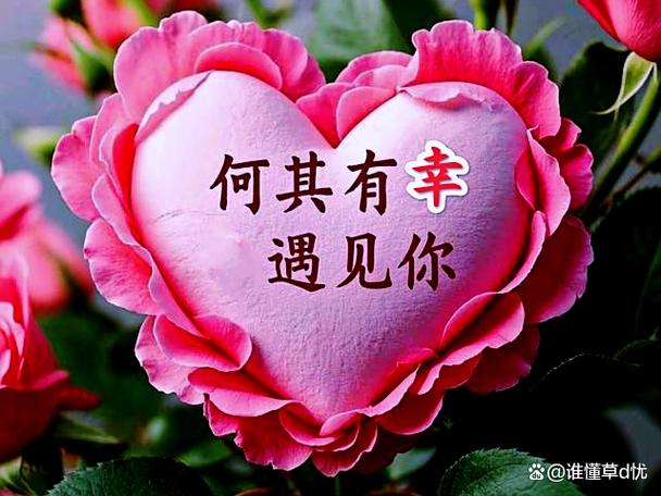 默默牵挂不再打扰的句子图标