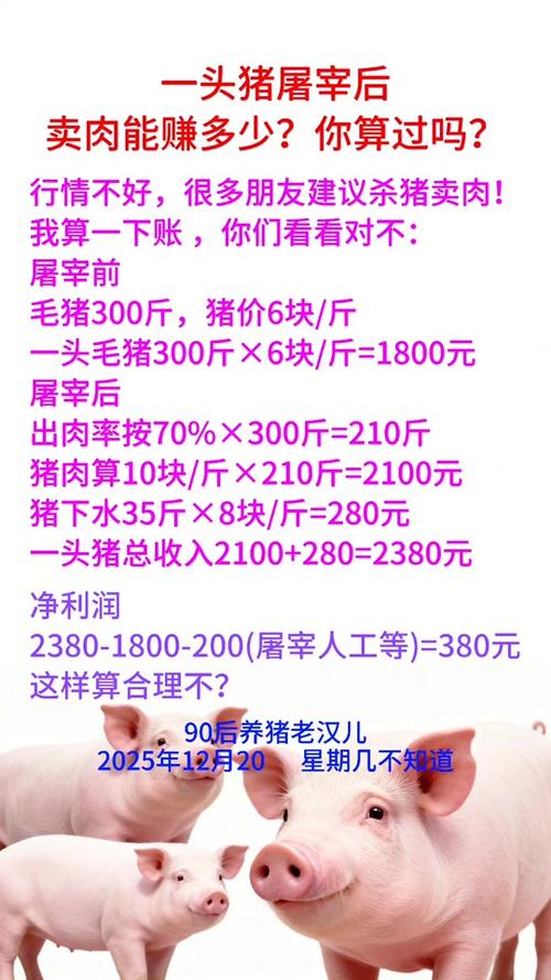 养猪利润有多少钱一头