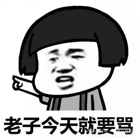 爆粗口骂人的话截图