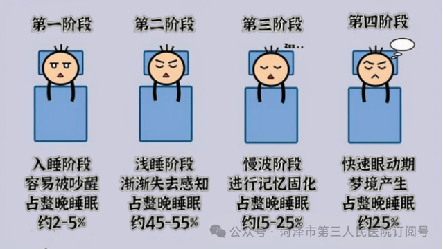 每天深度睡眠5小时可以吗