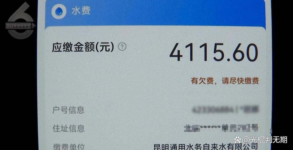 支付宝水费显示暂未欠费缩略图