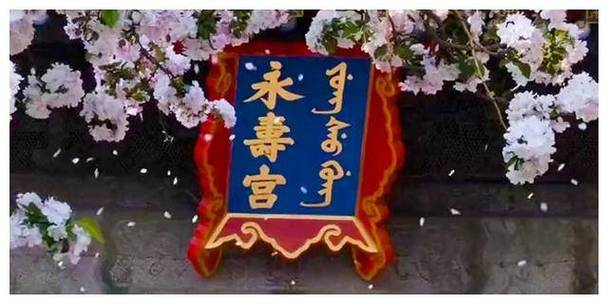 皇后住的宫殿叫什么