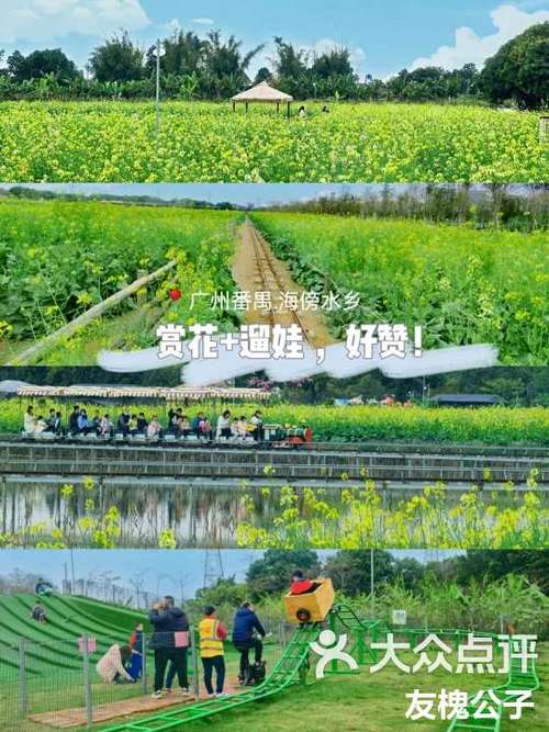旅游赚钱两不误的说说截图