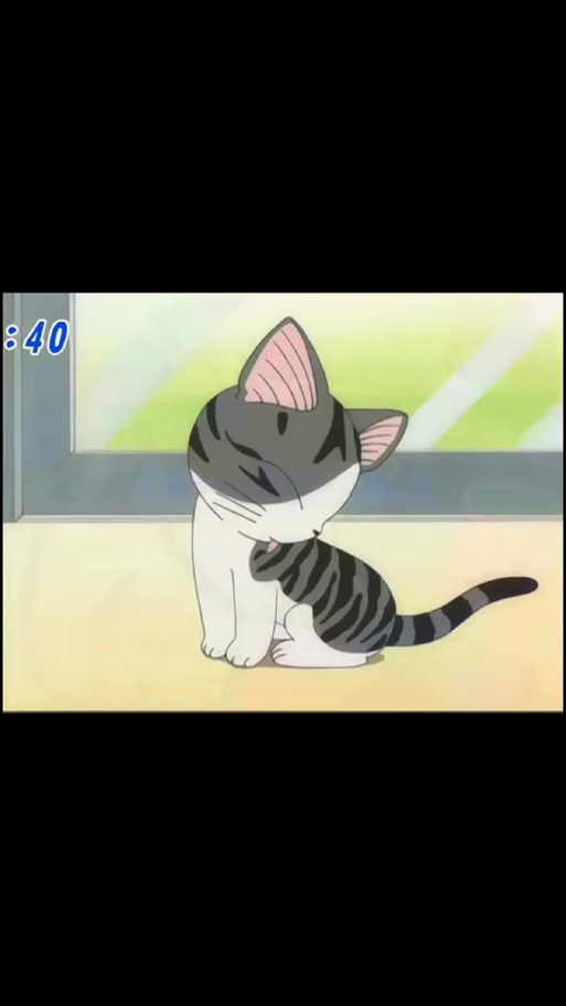 私房猫表情包截图