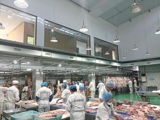 内蒙古美羊羊羊肉加工厂图标