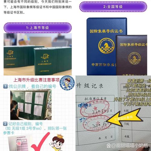 国际象棋上海二级升一级失败截图