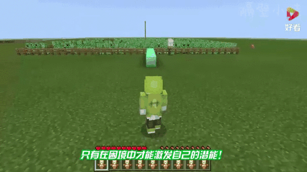 我的世界保护和其他保护冲突吗截图