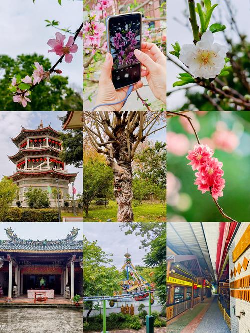 看潮州app官网截图
