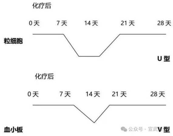 21天细胞净化有效果吗图标