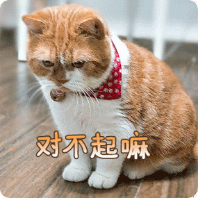 搞笑gif带字表情包图标